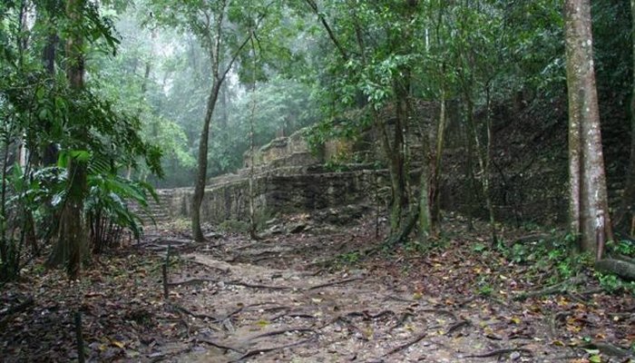 Mysterious Manuscript 512 Reveals Lost Ancient City Hidden In The Amazon Jungle | Ancient Pages