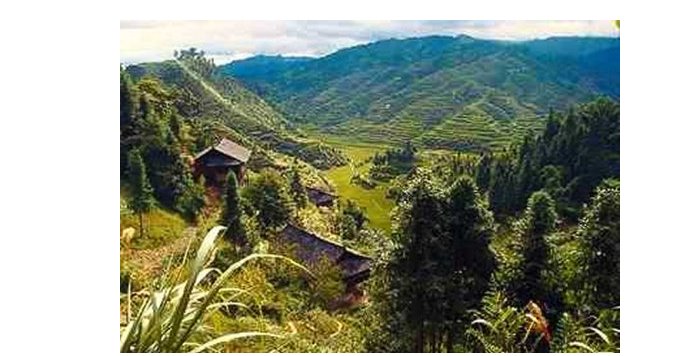 Controversial Story And Secret Knowledge Of Li Ching-Yuen Who Lived For ...