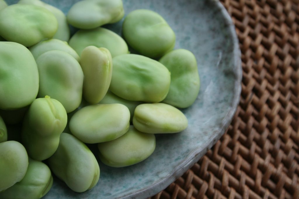World's Oldest Domesticated Fava Beans Were Grown In The Galilee ...