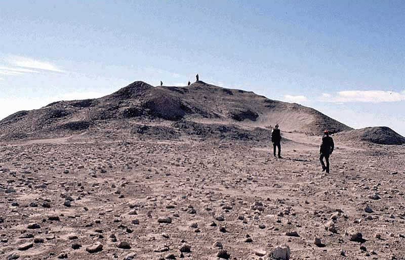Was The Legendary Tree Of Life Located In The Grove Of Eridu? | Ancient ...