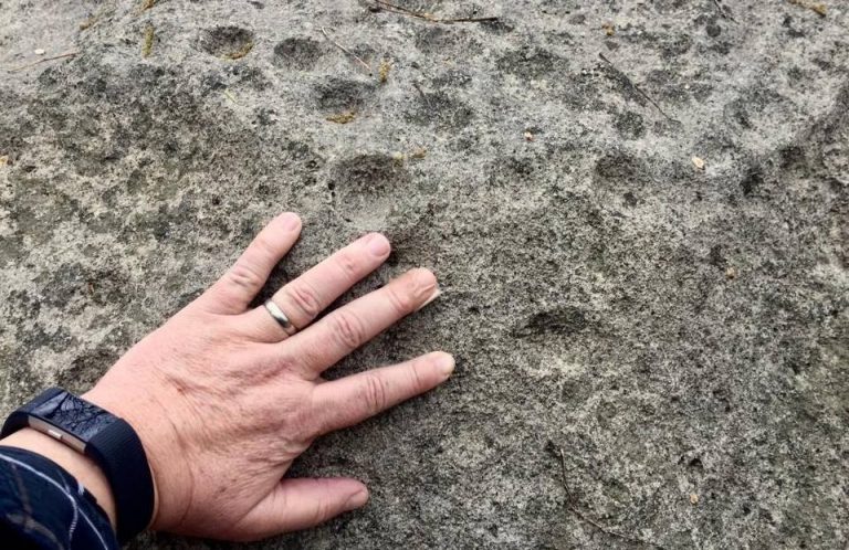 Etzanoa: Long-Lost Native American City Discovered In Kansas After 400 ...