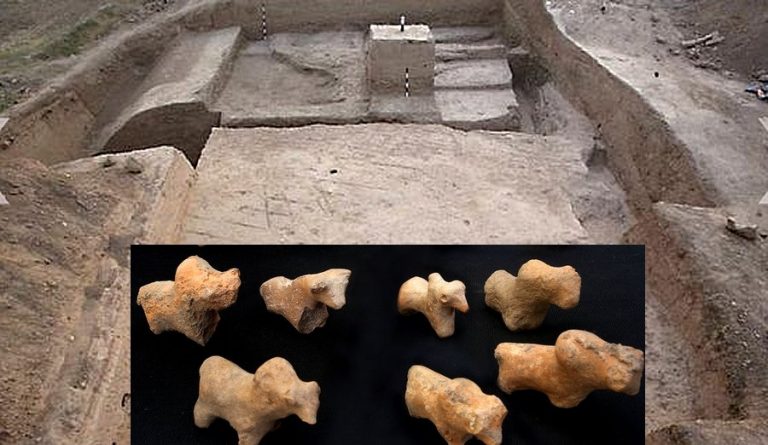 Fascinating Artifacts Excavated At Harappan Site In Rajasthan, India ...