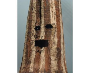 Mystery Of The Yaghan People: The First True Discoverers Of America ...