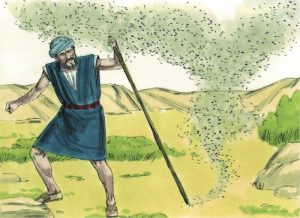 Insects Played An Important Role In The Biblical Exodus - Ancient Pages