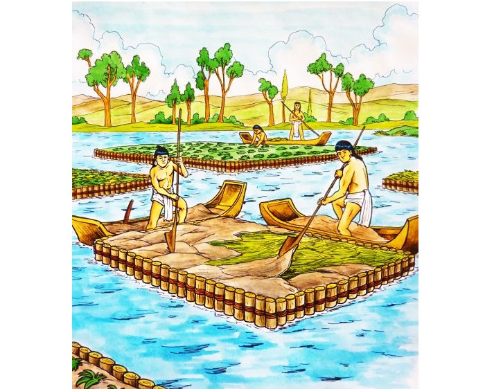 Chinampas were artificial islands created by the Aztecs to improve ...