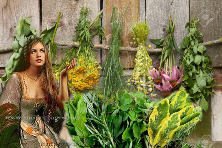 Airmid: Irish Goddess Of Healing And Herbs And One Of The Tuatha Dé ...
