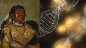 DNA Study Reveals 250 Siberians Became The First Native American ...