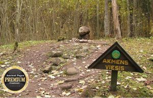 Is Mysterious Pokaini Forest An Ancient Healing Center And Anomalous ...