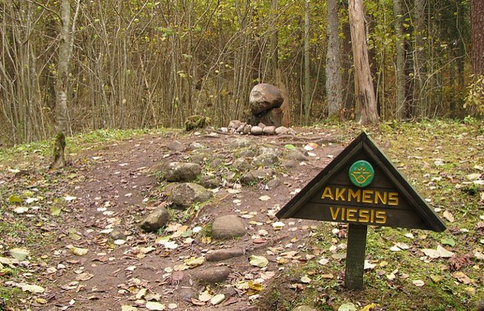 Is Mysterious Pokaini Forest An Ancient Healing Center And Anomalous ...
