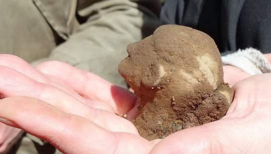 Amazing Discovery Of 29 Ancient Gold Men Unearthed In Sweden | Ancient ...