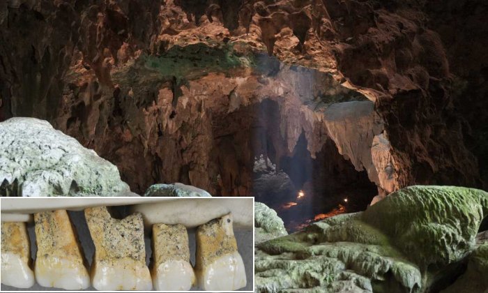 Our New Relative: 'Homo Luzonensis' - New Species Of Early Human Found ...