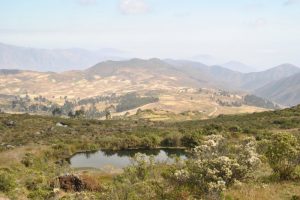 Ancient Irrigation System Could Boost Water Availability In Peru ...