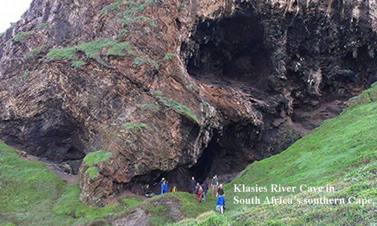 Cooking, Roasting And Eating Of Root Plants Is 120,000-Year-Old Habit ...