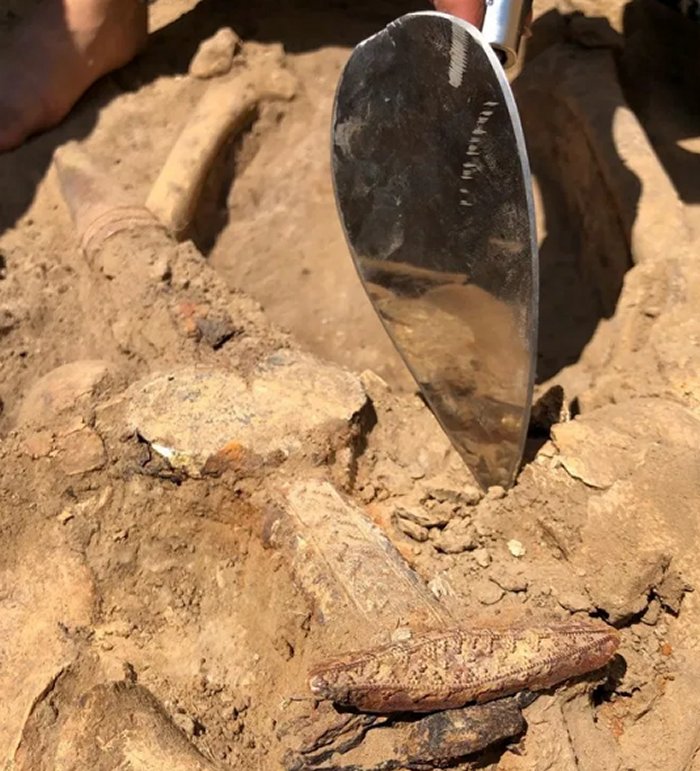 Scythian Gold-Plated Sword 'Akinakes' Unearthed In Southern Ukraine ...