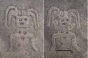 Giant 2,000-Year-Old Cat Geoglyph Discovered At Nazca In Peru - Ancient ...
