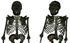 Focus On Turkana Boy: Modern Human Body Evolved More Recently Than Once ...