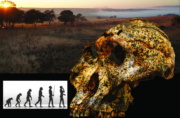 Fossil Of Extinct Human Species Reveals Climate Change Led To ...