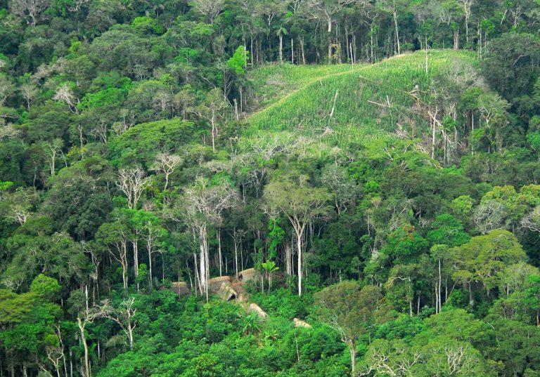 Ancient Circular Mound Villages Hidden In The Amazon Jungle Represent ...