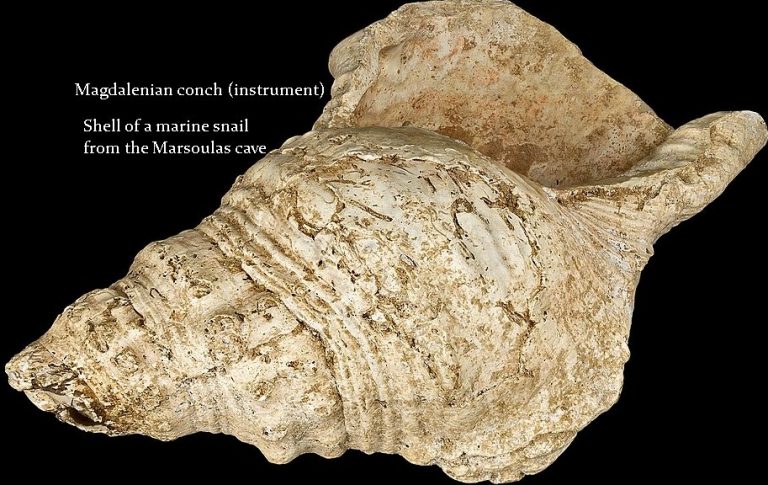 18,000-Year-Old Seashell Was Musical Wind Instrument Used By ...