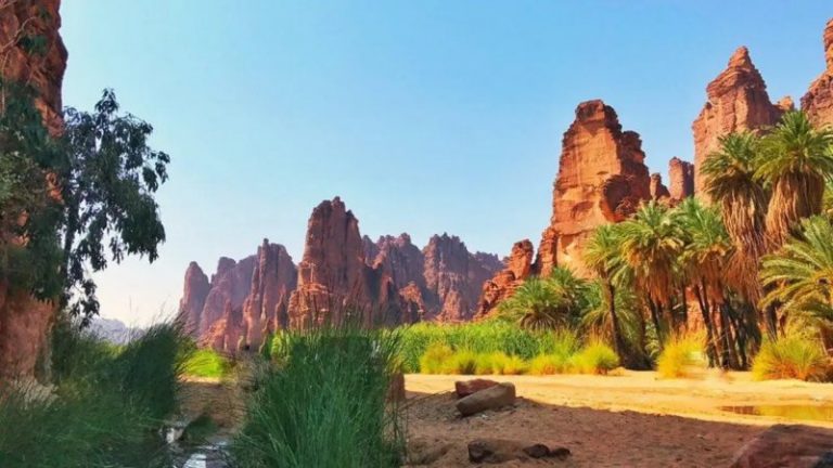 'Green' Saudi Arabia Was Home To A 350,000-Year-Old Human Settlement ...