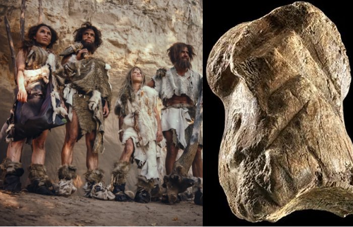 51,000-Year-Old Bone Carving Shows Neanderthals Were Artistic Long ...