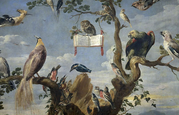 Birds - Mysterious Avian Messengers That Symbolized Bridge Between ...