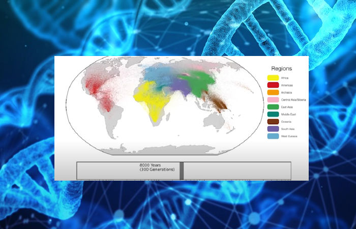 Largest Ever Human Family Tree: 27 Million Ancestors Mapped - Ancient Pages