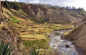 Climate In The Andes Has Driven 7,000 Years Of Dietary Changes - New ...