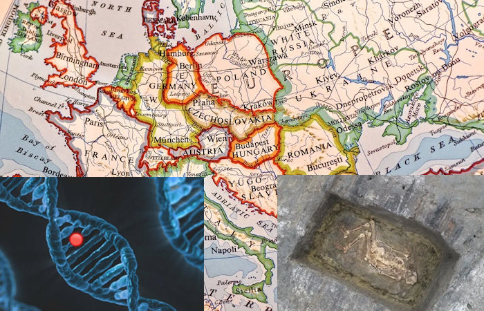 5,000-Year-Old DNA Could Solve The Mystery Of Genetic Changes In Europe ...