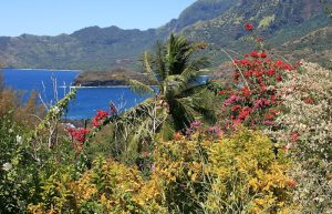 Reconstructing The Lost Ancient World Of The Marquesas Islands With ...
