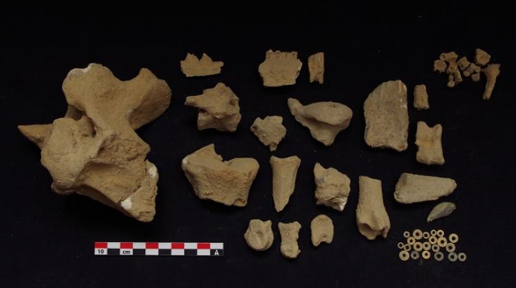 10,000 Years Ago Cattle Was Domesticated In The Central Nile Region ...