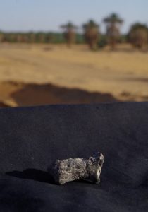 10,000 Years Ago Cattle Was Domesticated In The Central Nile Region ...