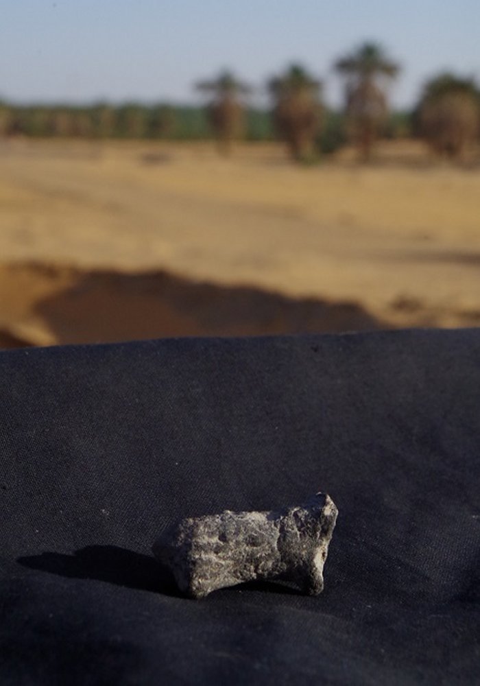 10,000 Years Ago Cattle Was Domesticated In The Central Nile Region ...