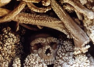 Fascinating Altamura Man - One Of The Most Complete Neanderthal ...