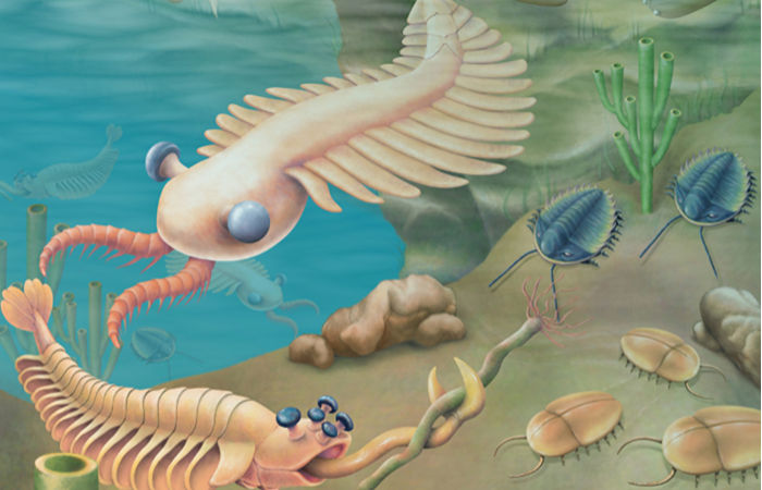 Connection Between Viruses And Ancestors Of All Complex Life Has Been ...