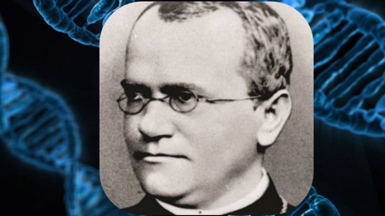Evidence Mendel Discovered The Laws Of Inheritance Decades Ahead Of His ...