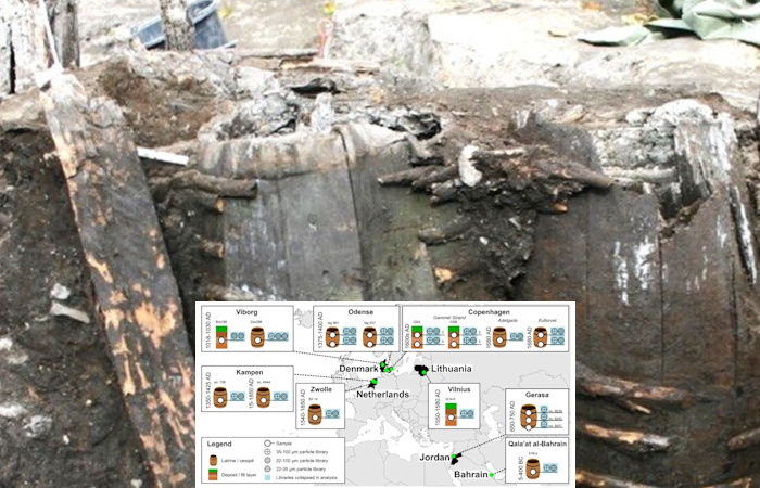 DNA In Viking Poop Sheds New Light On 55,000-Year-Old Relationship ...