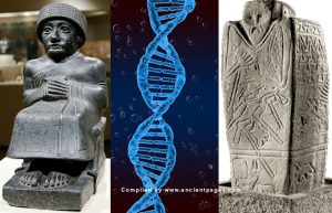 Ancient DNA Provides Comprehensive Genomic History Of The "Cradle Of ...