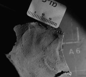 1,500-Year-Old Fingerprints Will Say Much About Potters And Communities ...