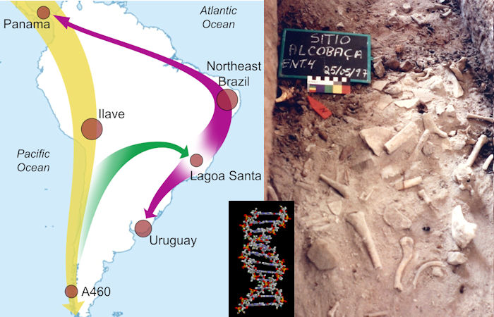 Unexpected And Surprising Results Of Ancient DNA Study - Who Were The ...