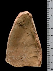 1,500-Year-Old Fingerprints Will Say Much About Potters And Communities ...