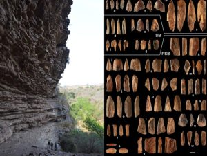 80,000-Year-Old Bone Tools Discovered In South Africa Sheds New Light ...