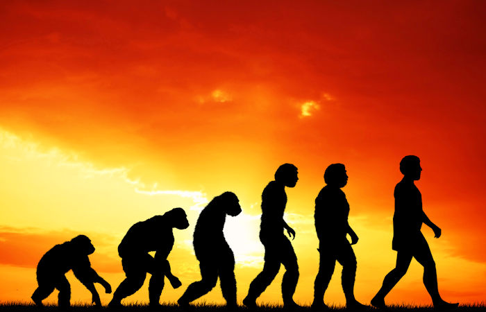 Scientists Say Large Mammals Shaped The Evolution Of Humans - Here Is ...