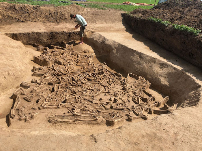 Unusual Find - Headless Skeletons Discovered In A 7000-Year-Old Mass ...