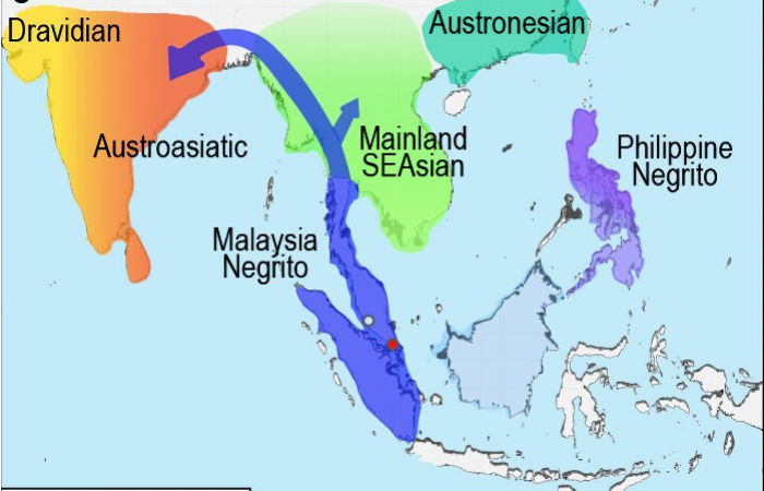 Prehistoric Human Migration In Southeast Asia Driven By Sea-Level Rise ...