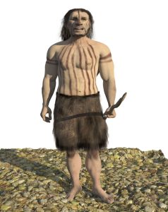 Re-Discovered Ancient Ksâr 'Akil Fossils Shed New Light On Human ...