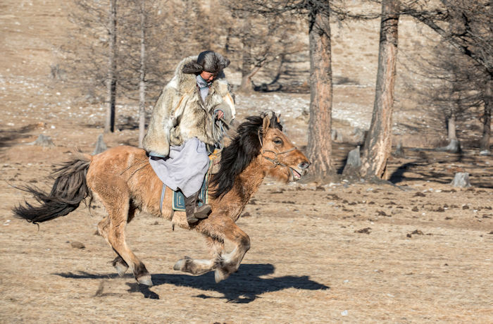 Ancient Burials Of World's First Horse Riders Found Near The Black Sea ...