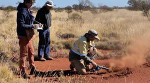 Aboriginal Art And Knowledge Unlocks Mystery Of Fairy Circles - Ancient ...