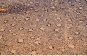Aboriginal Art And Knowledge Unlocks Mystery Of Fairy Circles - Ancient ...