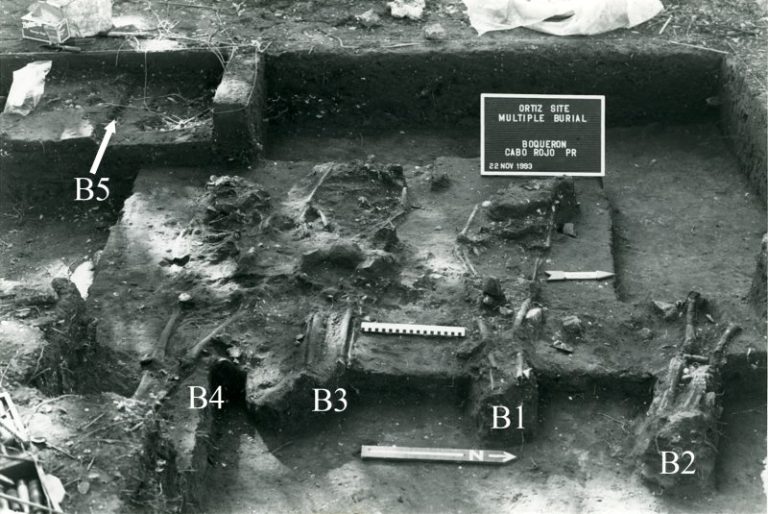 Oldest Human Remains From Puerto Rico Reveal A Complex Cultural ...